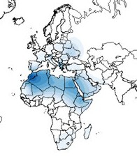 Y-ДНК хаплогрупа Е, друга најчешћа међу Србима - Порекло